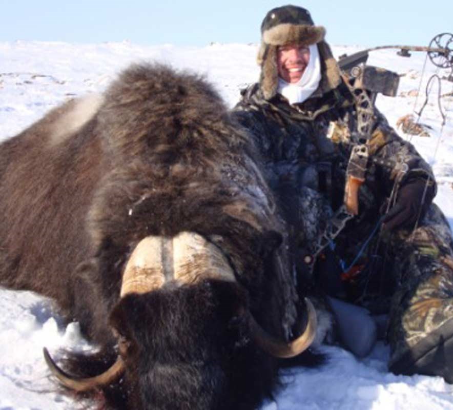 Barren Ground Musk-Ox - Ameri-Cana Expeditions